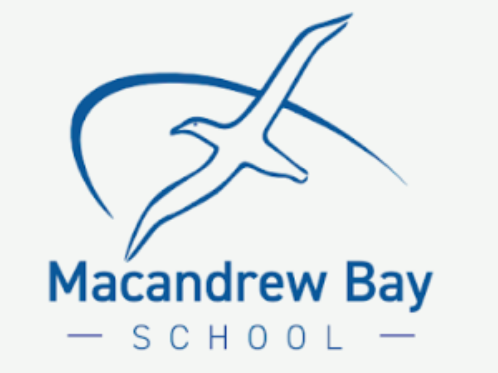 News & Classroom Updates | Macandrew Bay School