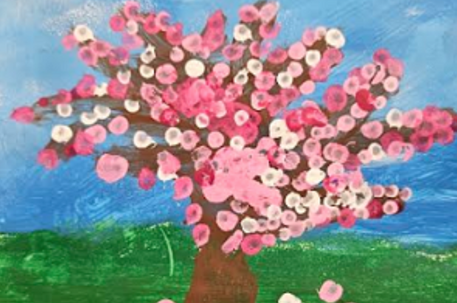 Macandrew Bay School Dunedin