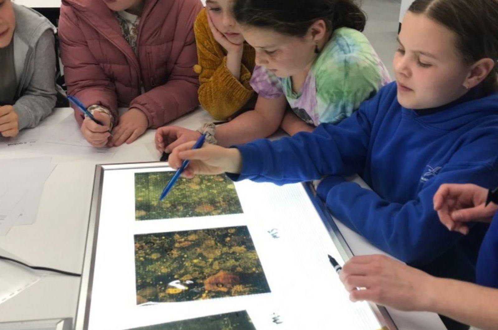 Macandrew Bay School Dunedin