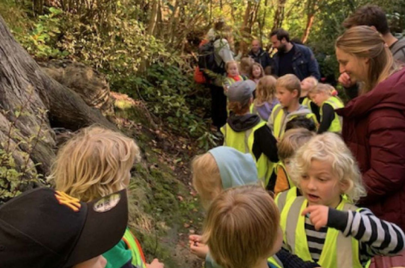 Macandrew Bay School Dunedin