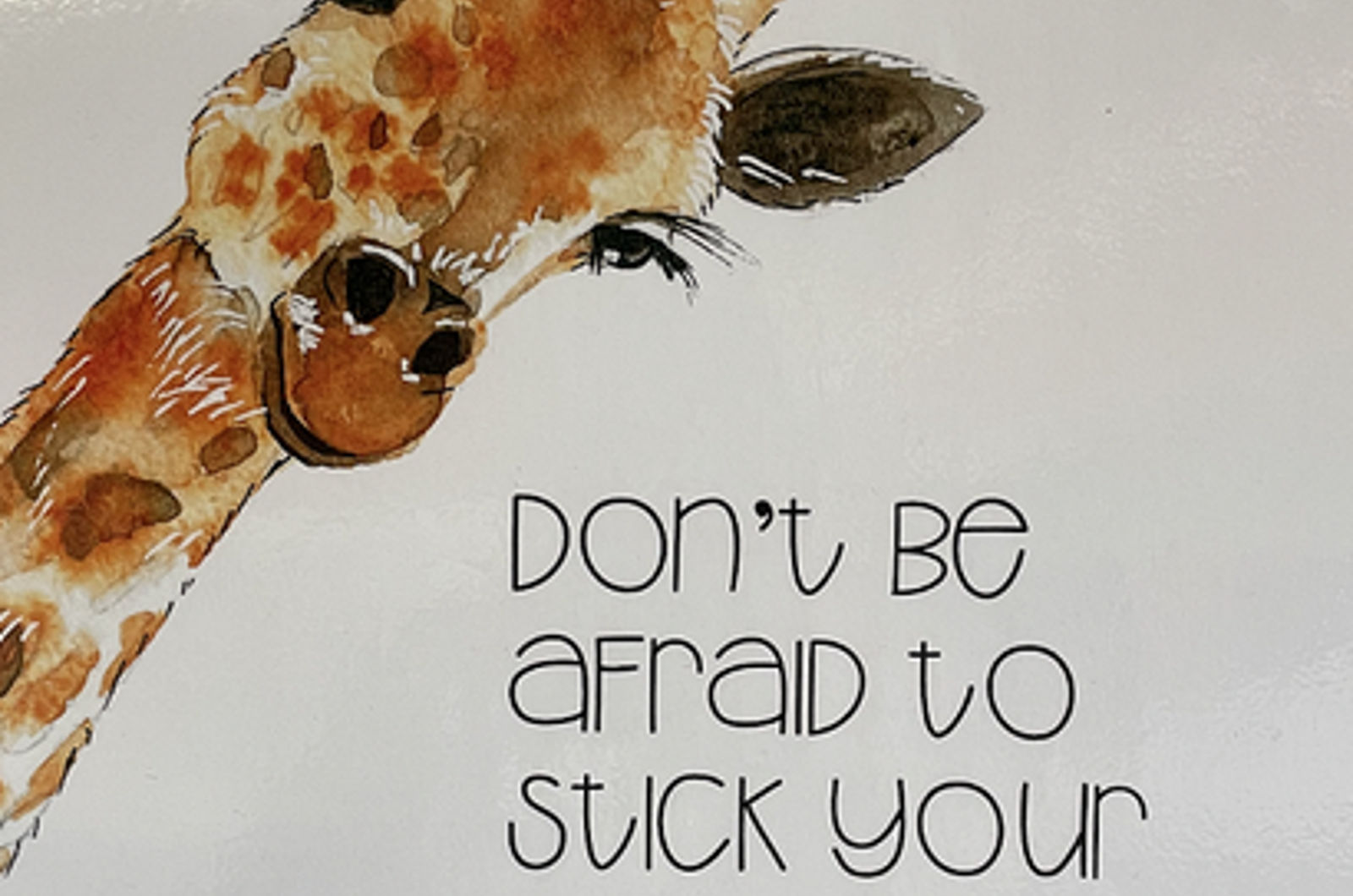 Macandrew Bay School Dunedin