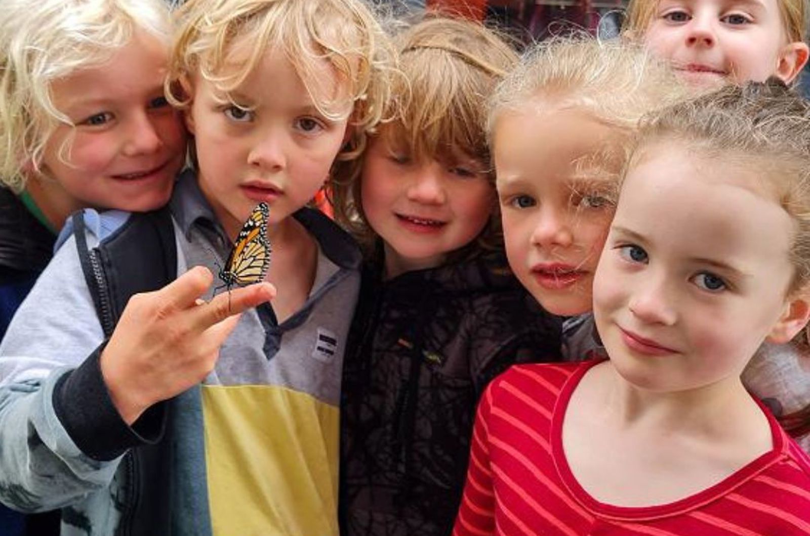 Macandrew Bay School Dunedin